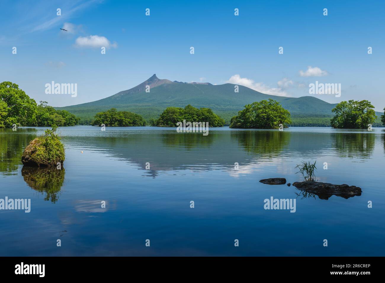 Onuma koen national park hi-res stock photography and images - Alamy