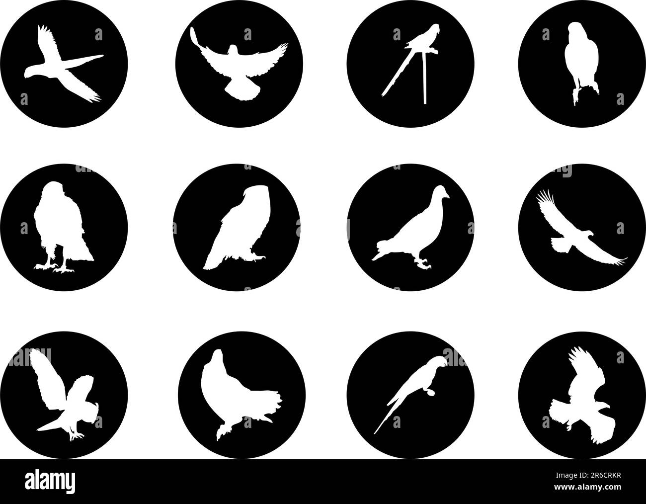 Set Birds. Vector. Similar works are in my galleries Stock Vector Image ...