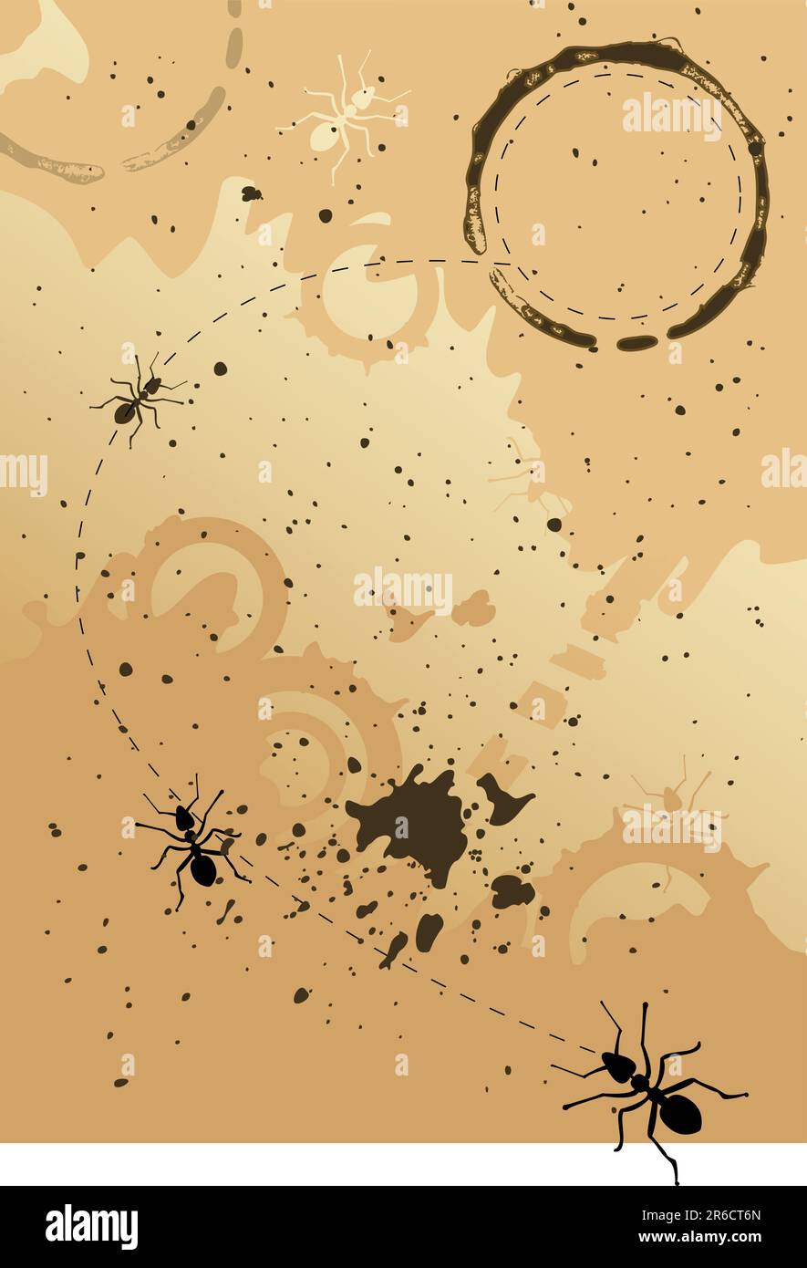 Ants on path hi-res stock photography and images - Alamy