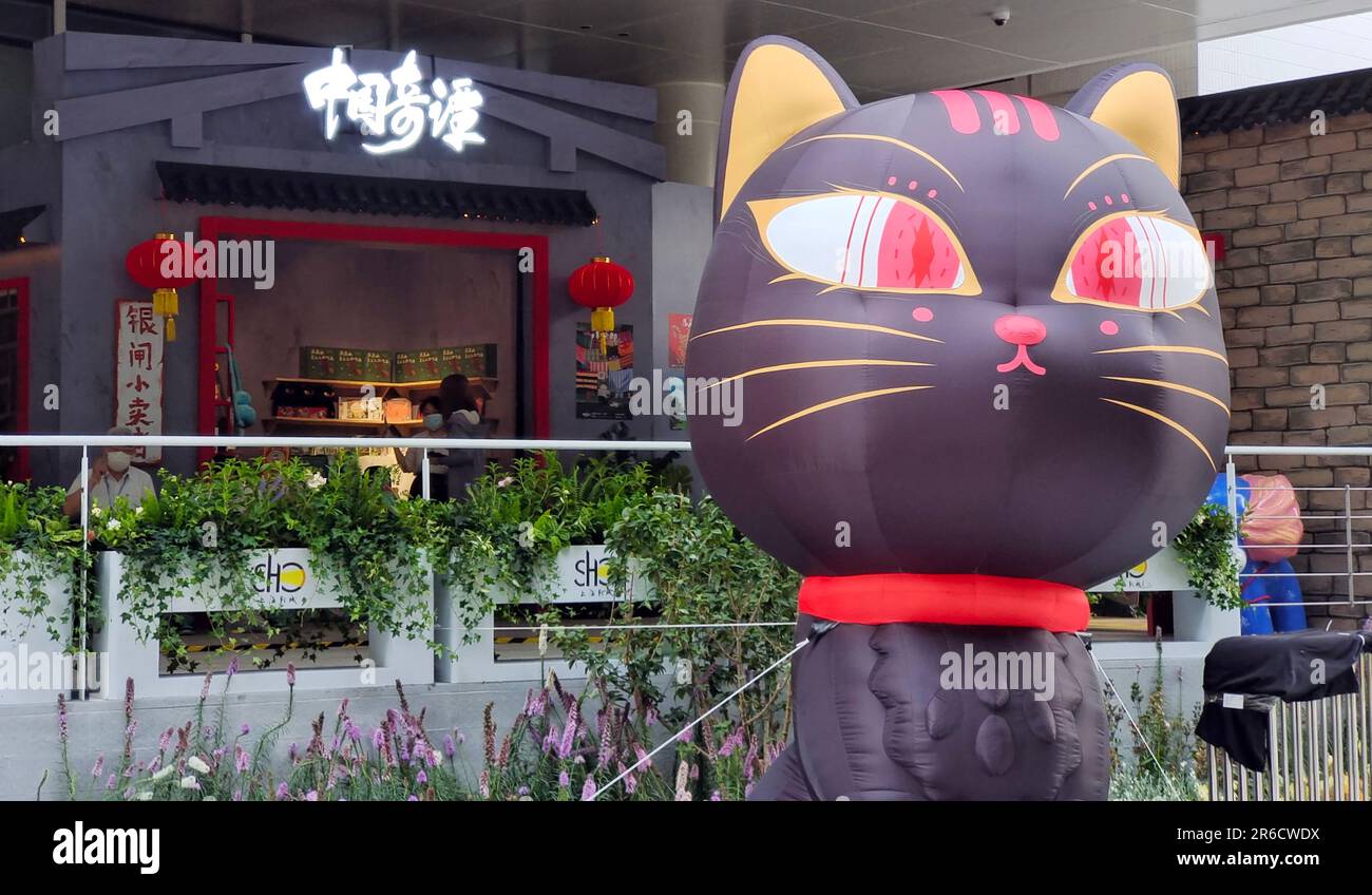 A general view of the pop-up store featuring Chinese animation and ...