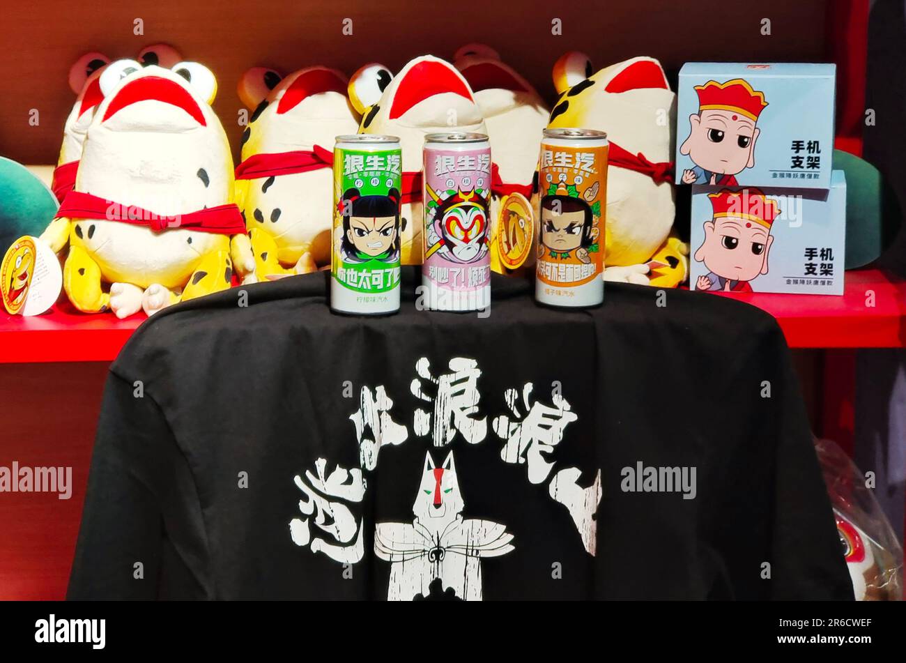 A general view of the pop-up store featuring Chinese animation and ...