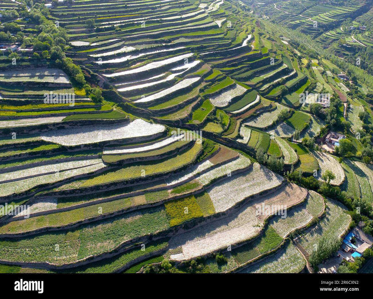 Photo taken on June 8, 2023 shows the Nanping rice terraces in Dingxi ...