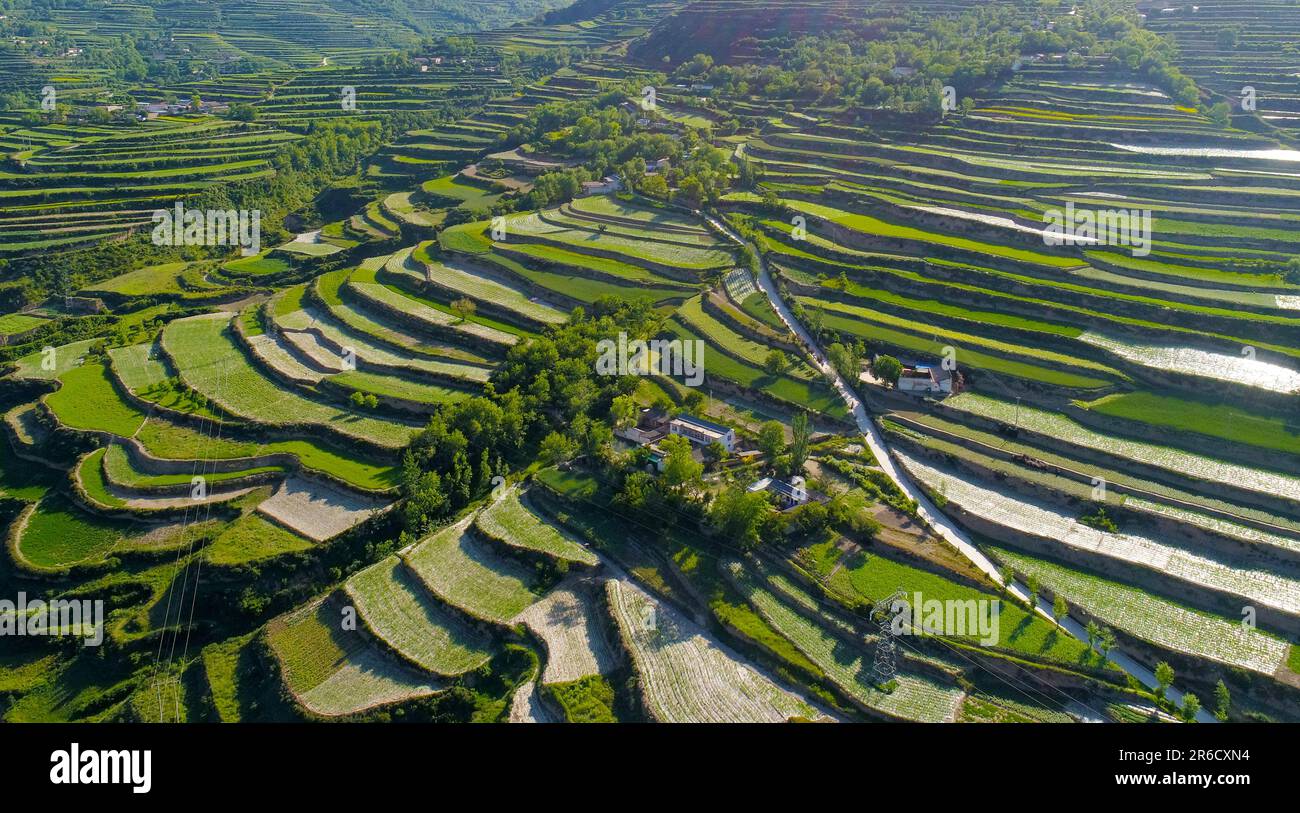 Photo taken on June 8, 2023 shows the Nanping rice terraces in Dingxi ...