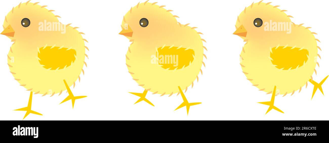 vector illustration for three chicks, movement, fun and cute Stock ...