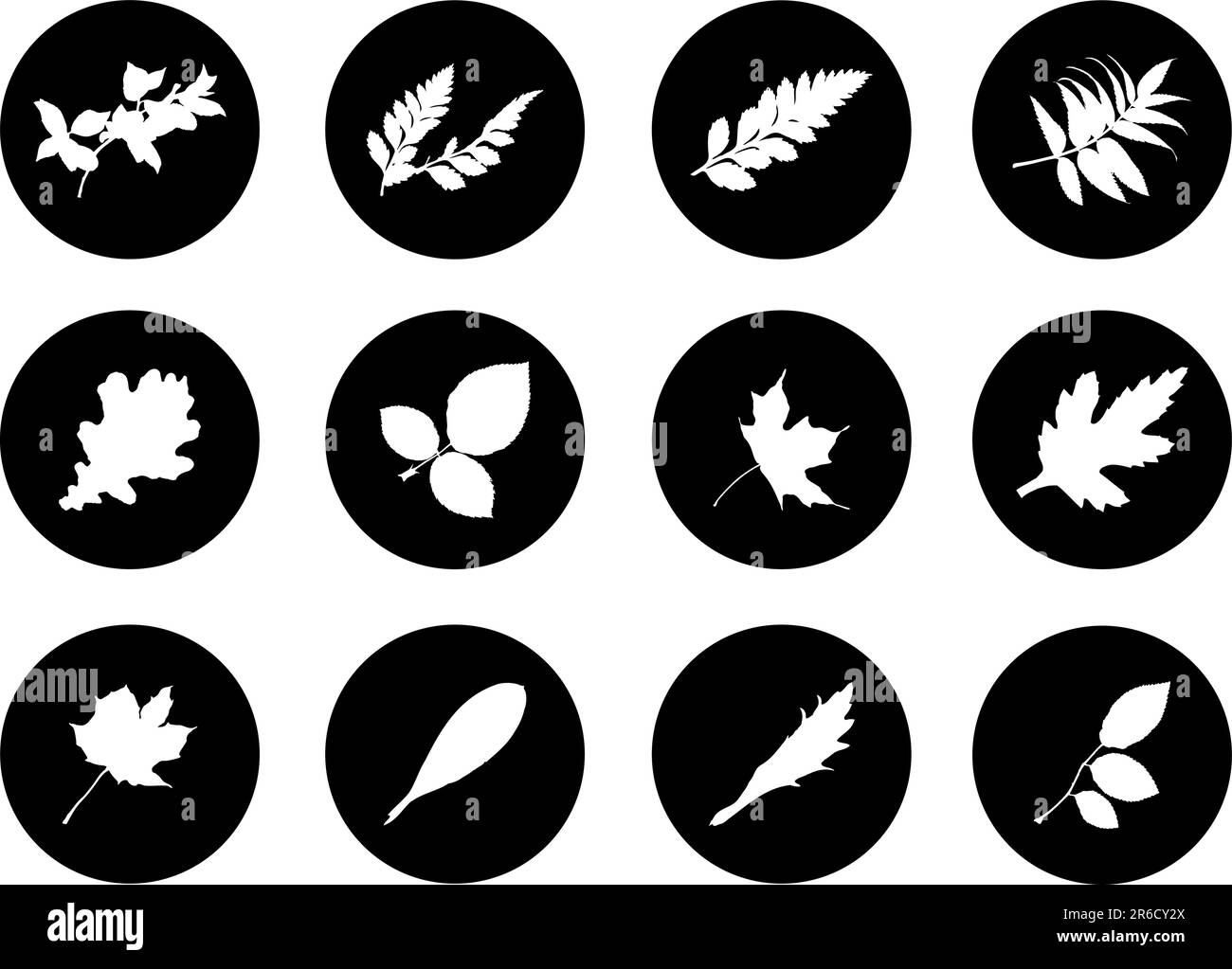 The set from silhouettes of leaves, is presented in the form of 12 ...