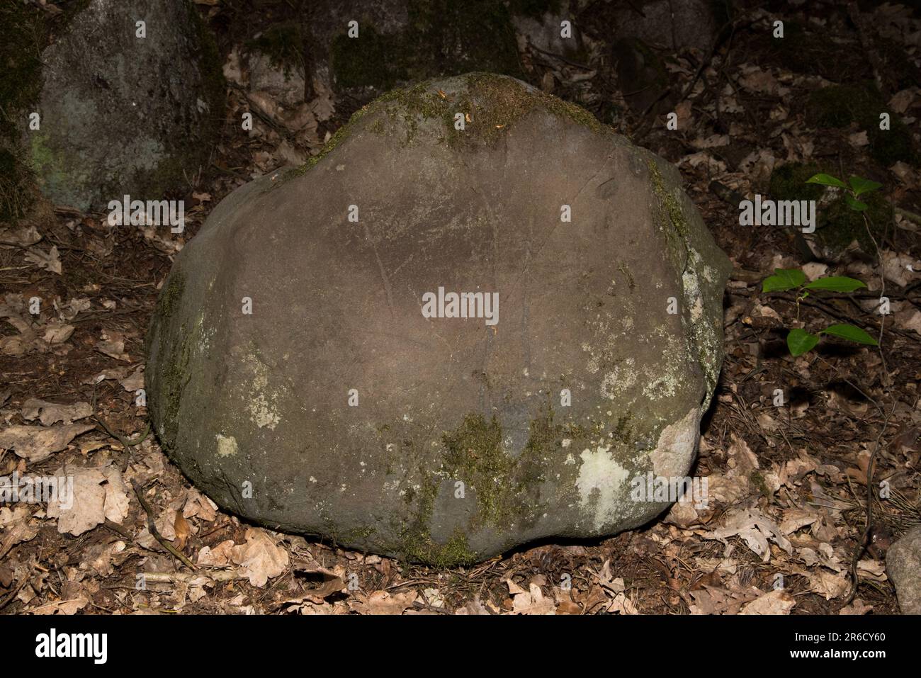 Bronze age tumulus grave near Stiernsee and tiny village Briesen in ...