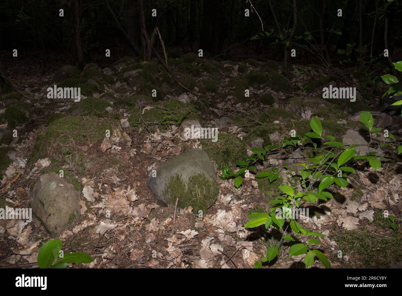 Bronze age tumulus grave near Stiernsee and tiny village Briesen in ...
