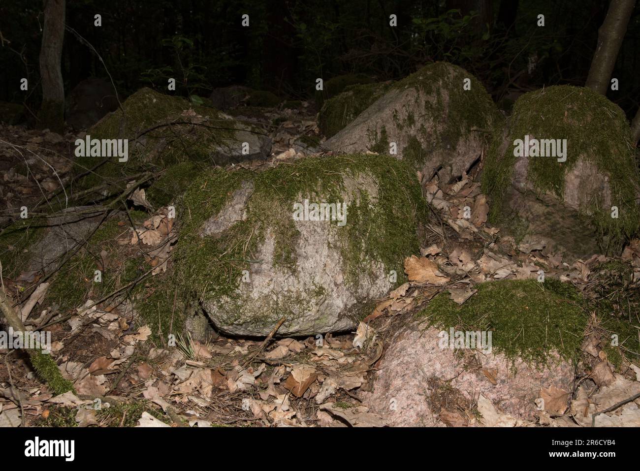 Bronze age tumulus grave near Stiernsee and tiny village Briesen in ...