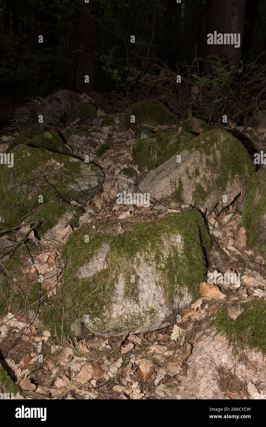 Bronze age tumulus grave near Stiernsee and tiny village Briesen in ...