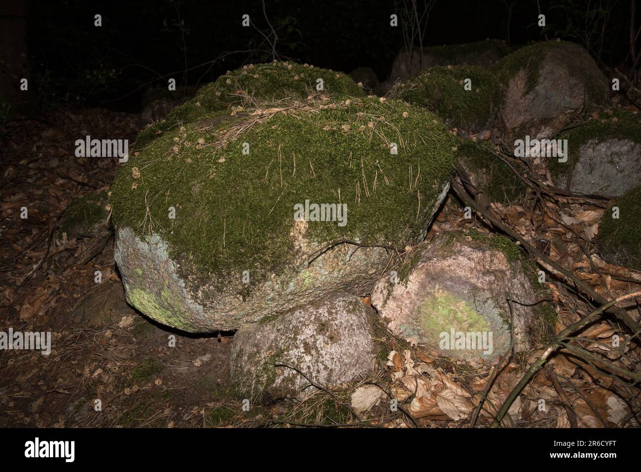 Bronze age tumulus grave near Stiernsee and tiny village Briesen in ...
