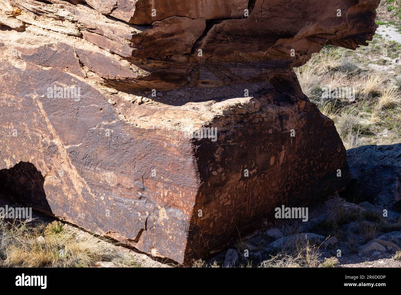 Photograph Petrified Forest National Park at the petroglyphs at ...
