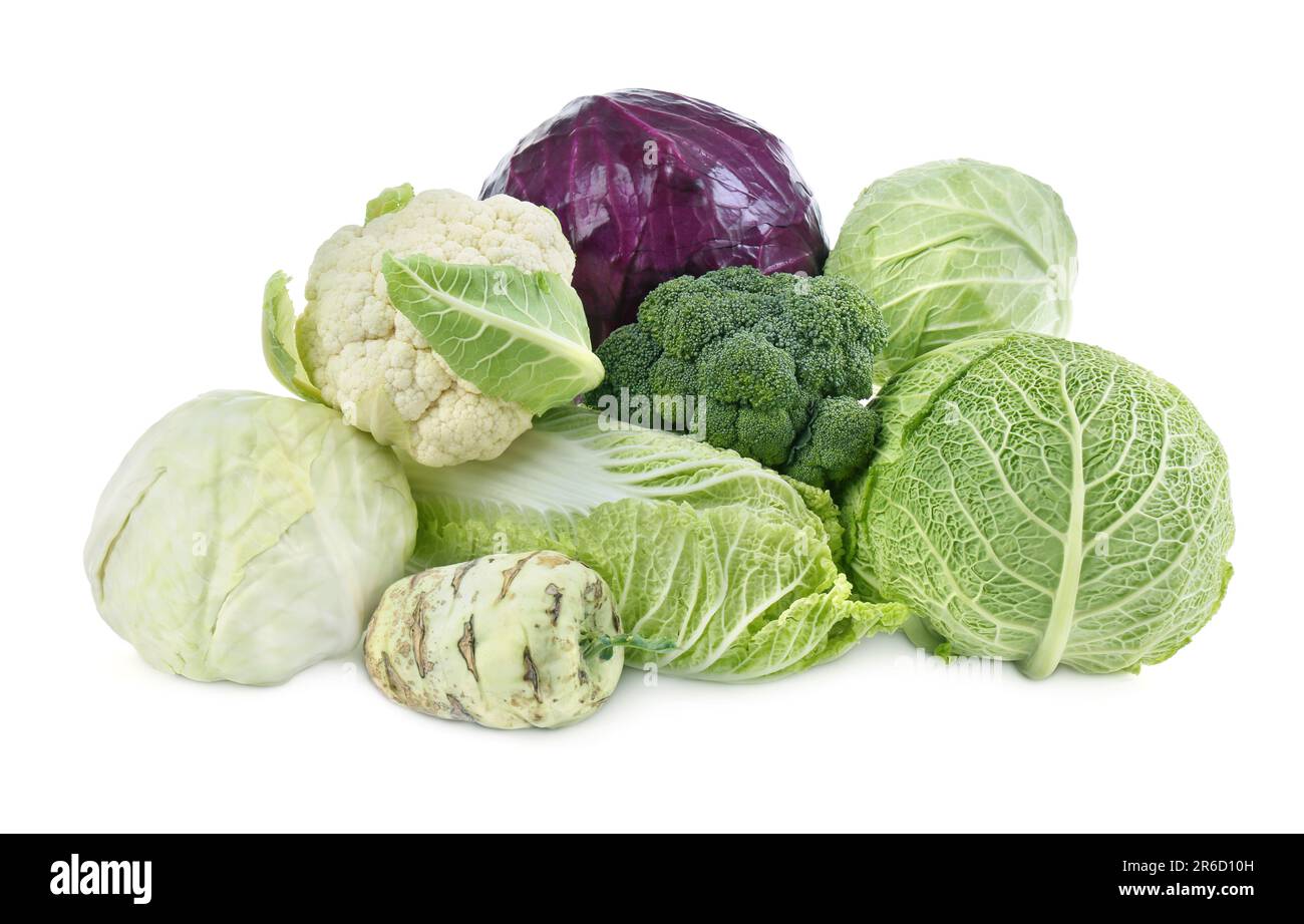Many different fresh ripe cabbages on white background Stock Photo - Alamy