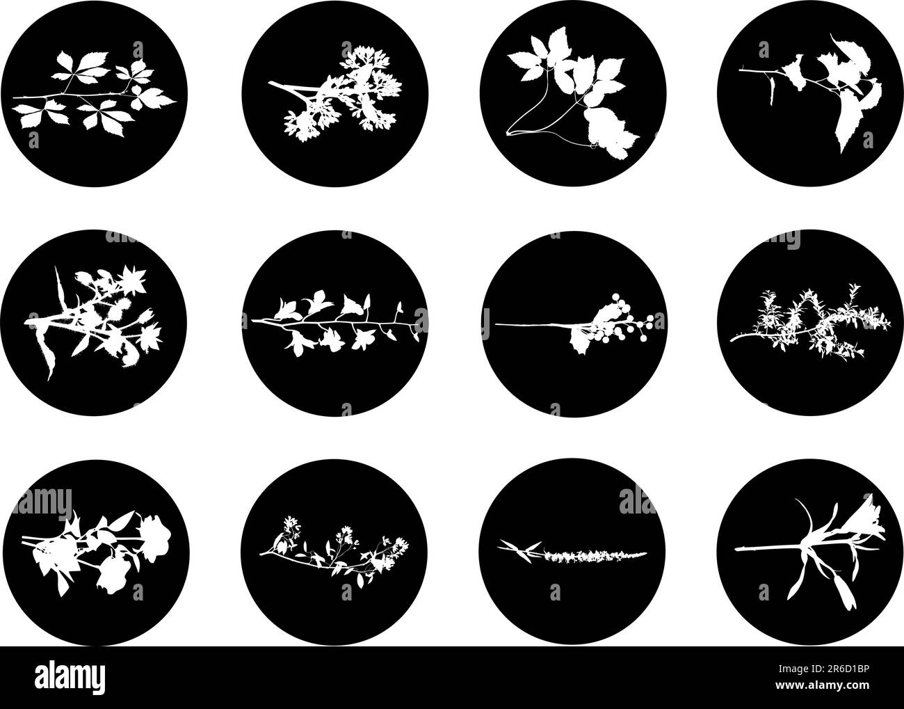 The set from silhouettes of leaves, is presented in the form of 12 ...