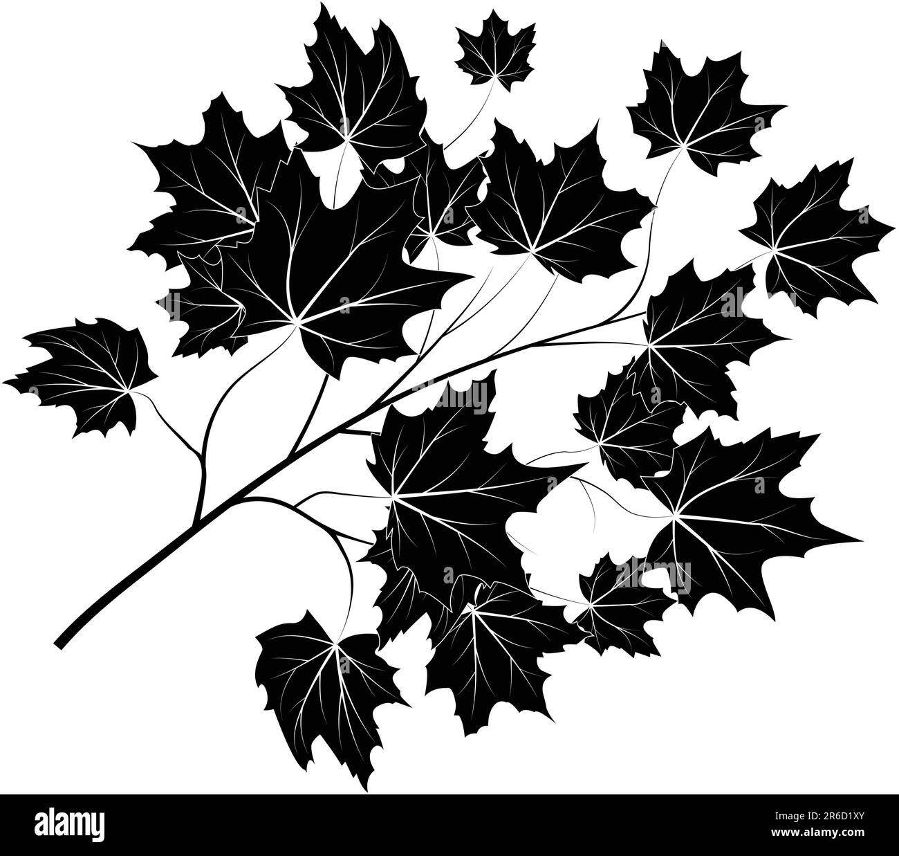 Vector illustration of maple branch, element for design Stock Vector ...