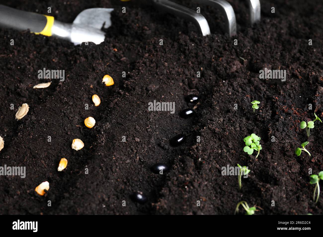 Vegetables seeds gardening tools hi-res stock photography and images ...