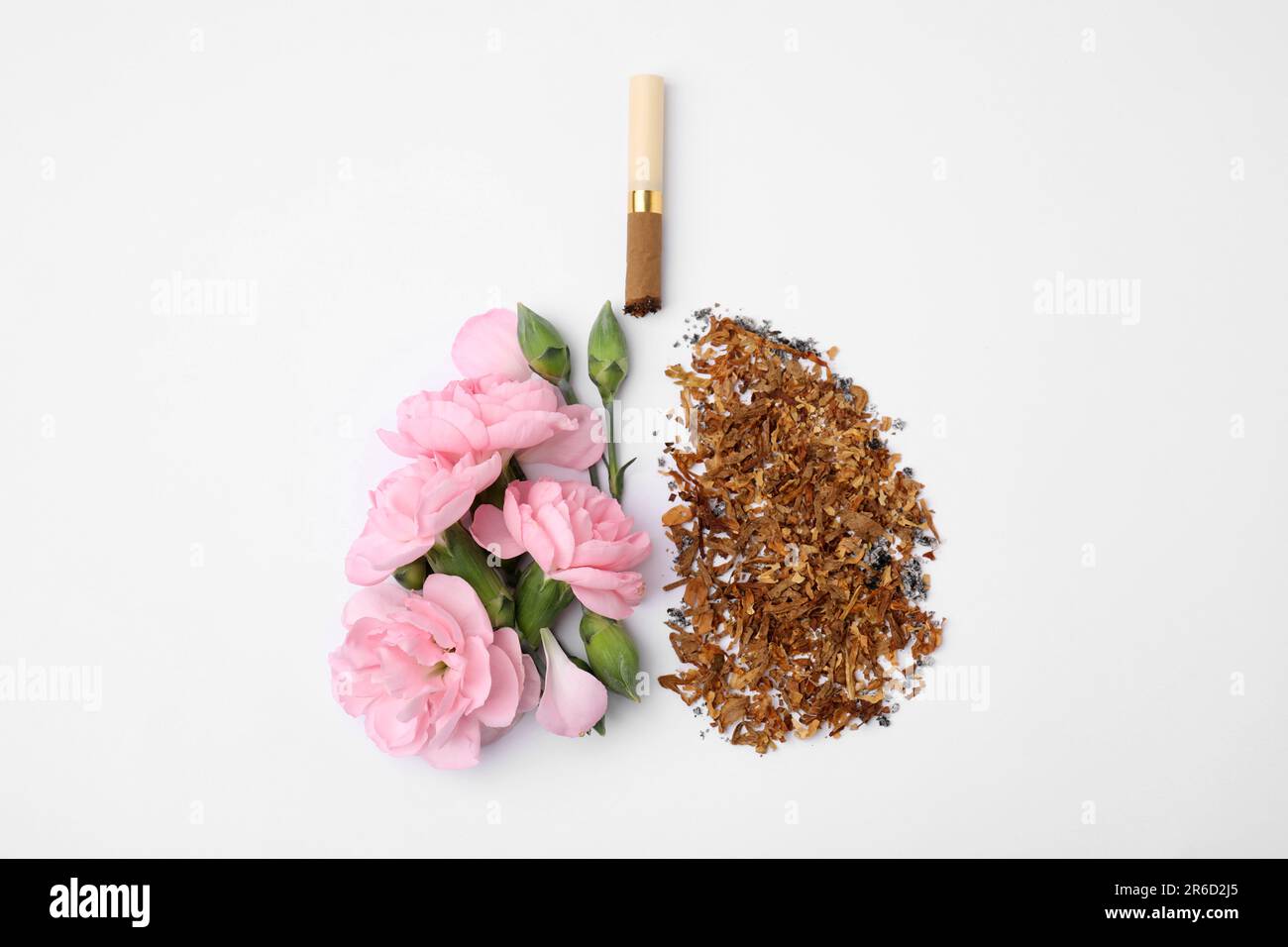 No smoking concept. Lungs made of dry tobacco, cigarettes and pink ...