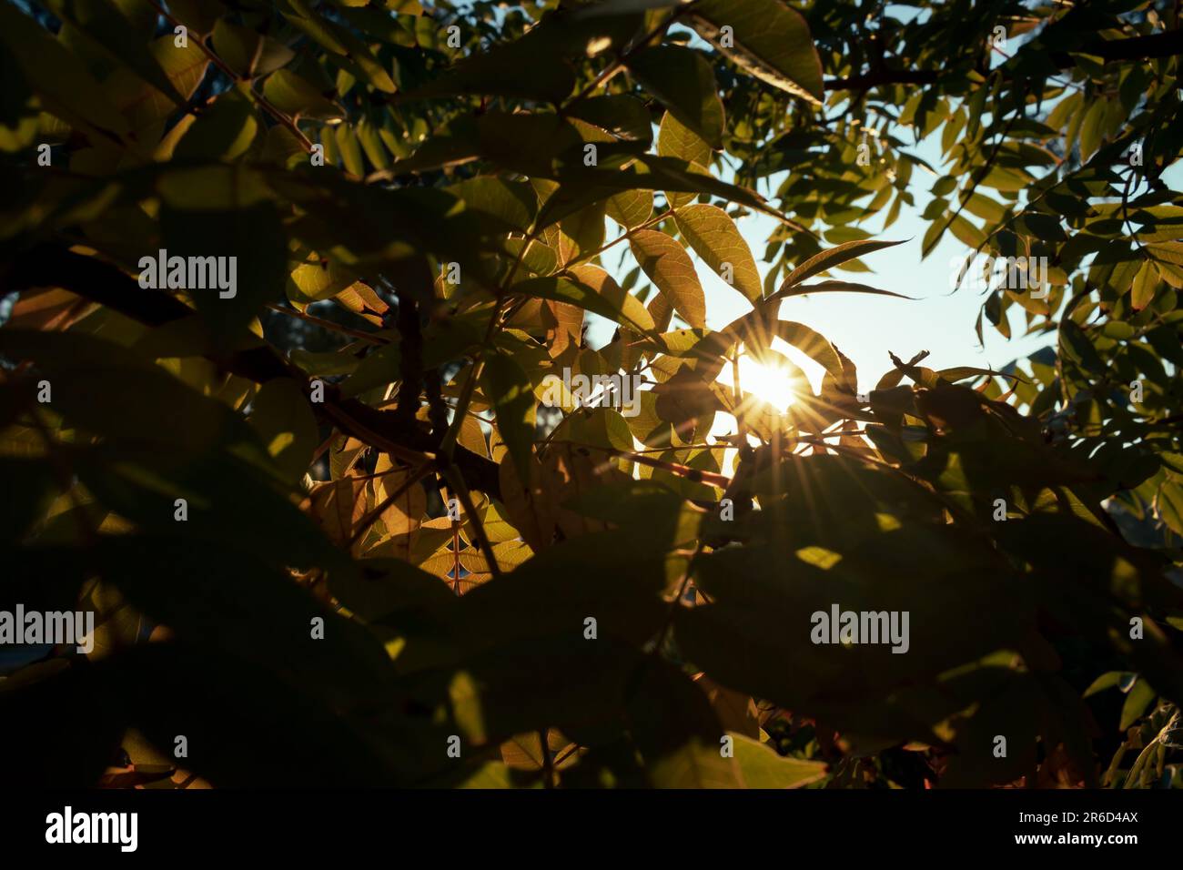 Best autumn picture hi-res stock photography and images - Alamy