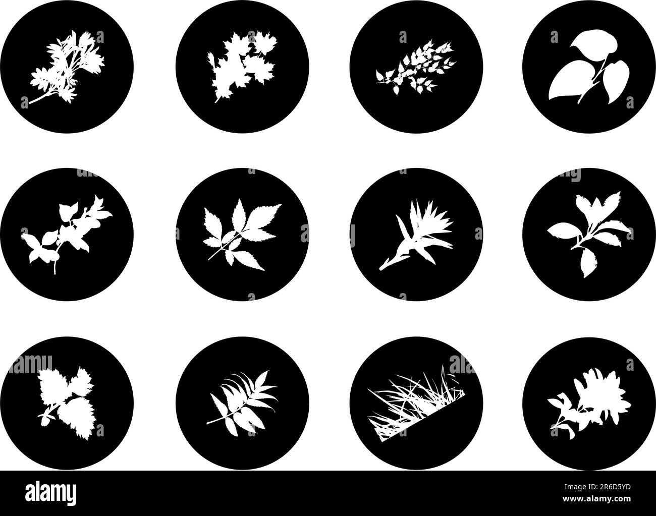 The set from silhouettes of leaves, is presented in the form of 12 ...
