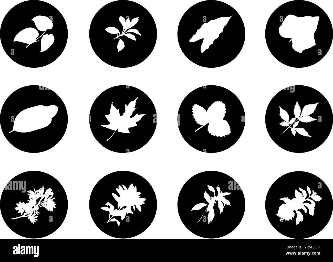 The set from silhouettes of leaves, is presented in the form of 12 ...