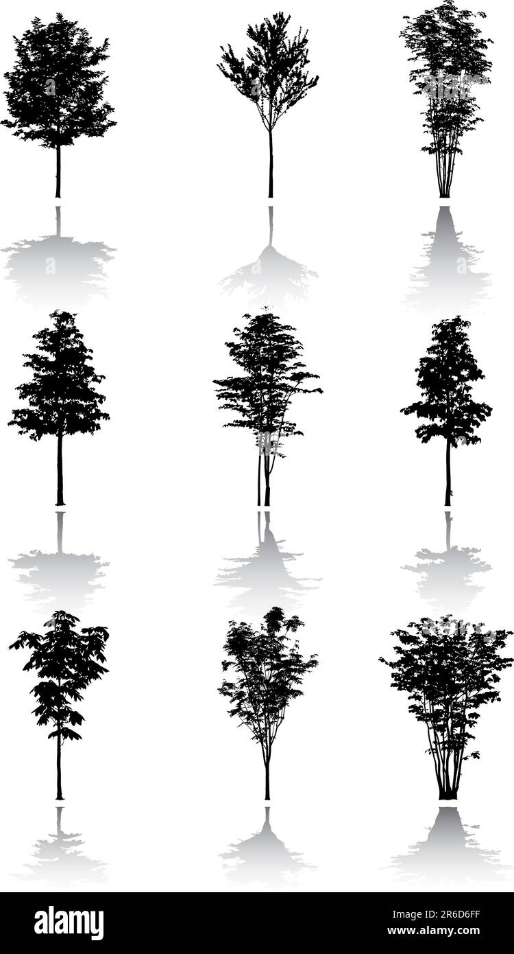 Silhouette gallery hi-res stock photography and images - Alamy