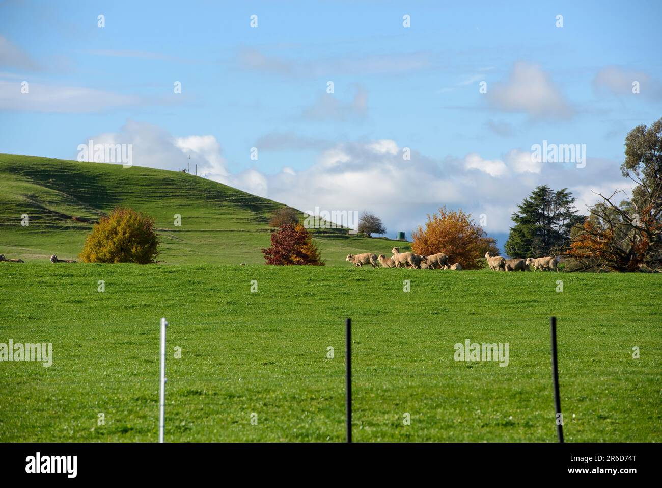 Mansfield australia hi-res stock photography and images - Alamy