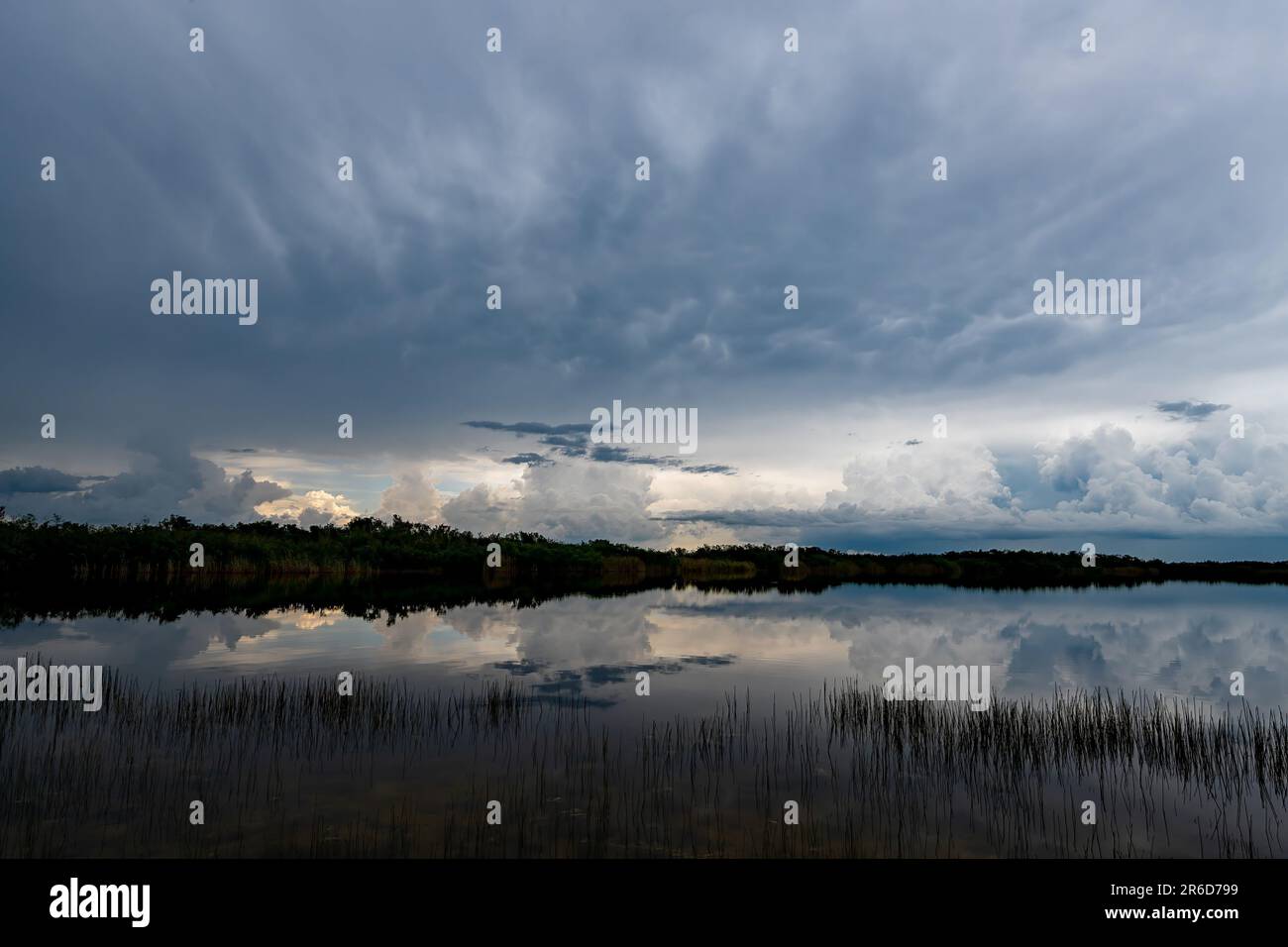 Dark storm clouds and rain forming over Nine Mile Pond in Everglades ...