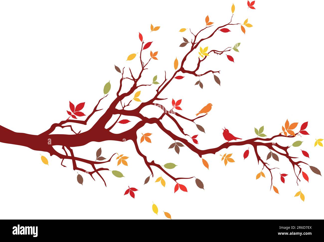 Picture colorful fall foliage Cut Out Stock Images & Pictures - Alamy