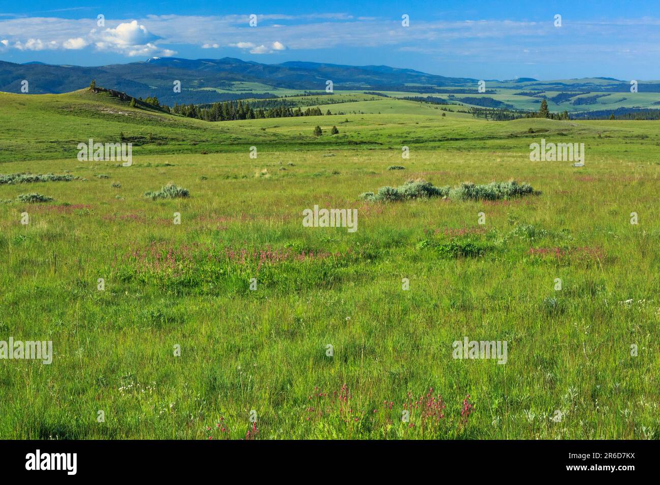 Avon valley hi-res stock photography and images - Alamy