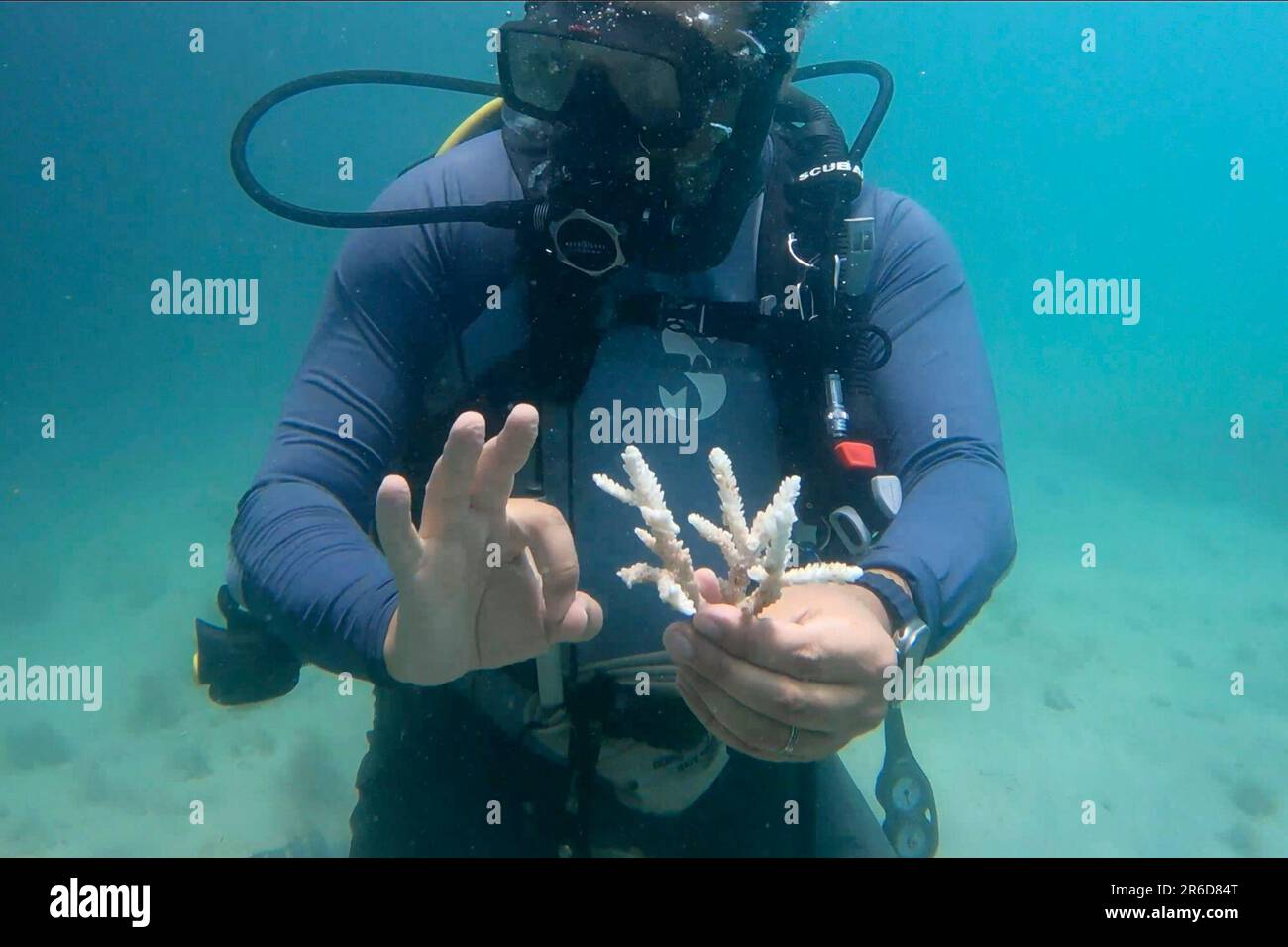 PADI Course Director Amr Anwar shows a piece of coral in Dubai, United ...