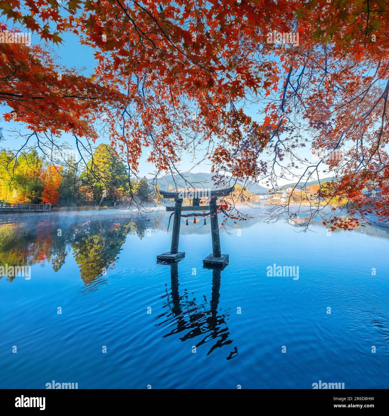 Tenso jinja shrine hi-res stock photography and images - Alamy