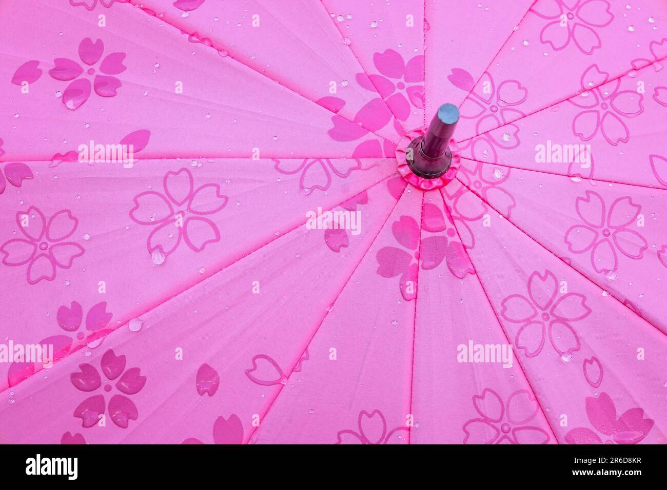 Modern Japanese Umbrellas in a Japanese Shop in Yufuin Hot Springs Town ...