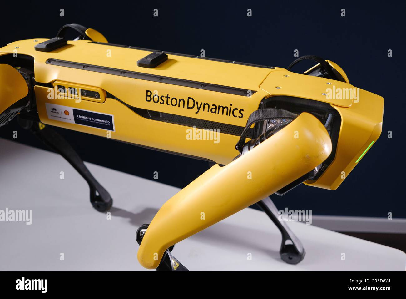 Ho Chi Minh city, Vietnam - 09 Jun 2023. Boston Dynamics robot dog ...