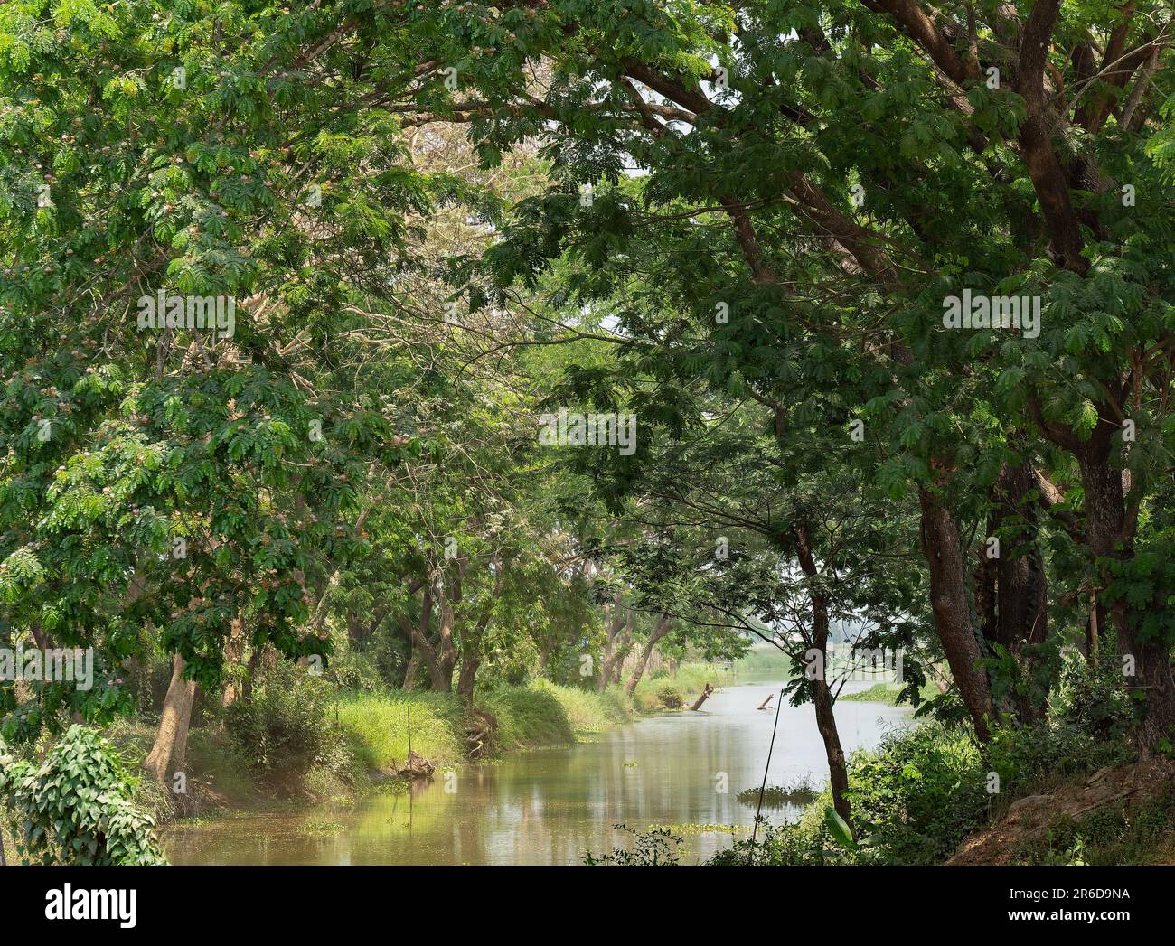 Myanmar nature hi-res stock photography and images - Alamy