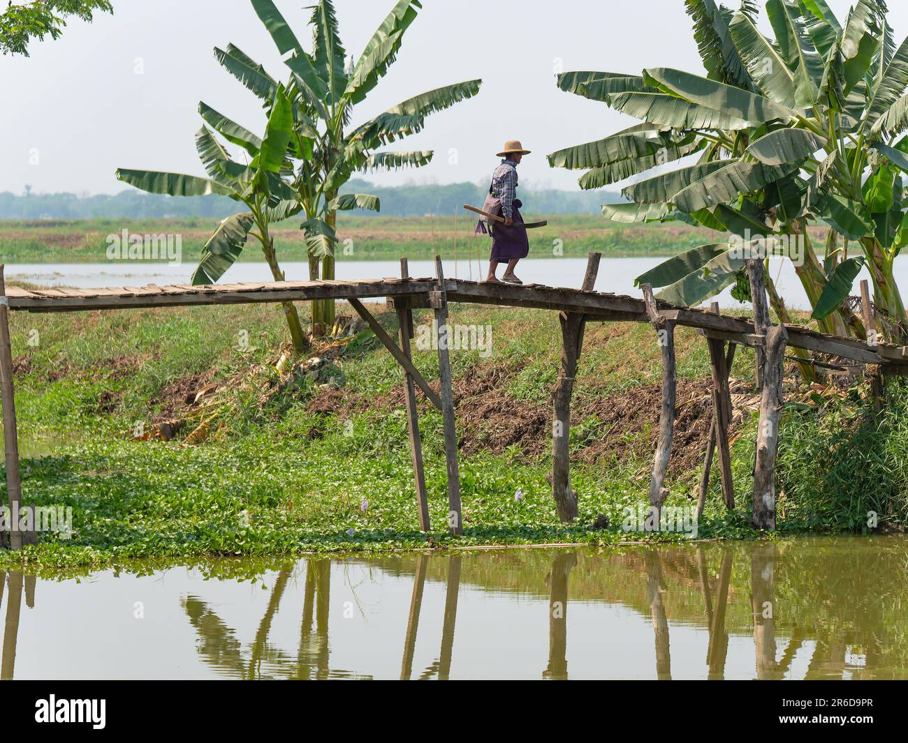 Farmer crossing wooden bridge across a fish pond at the Irrawaddy ...