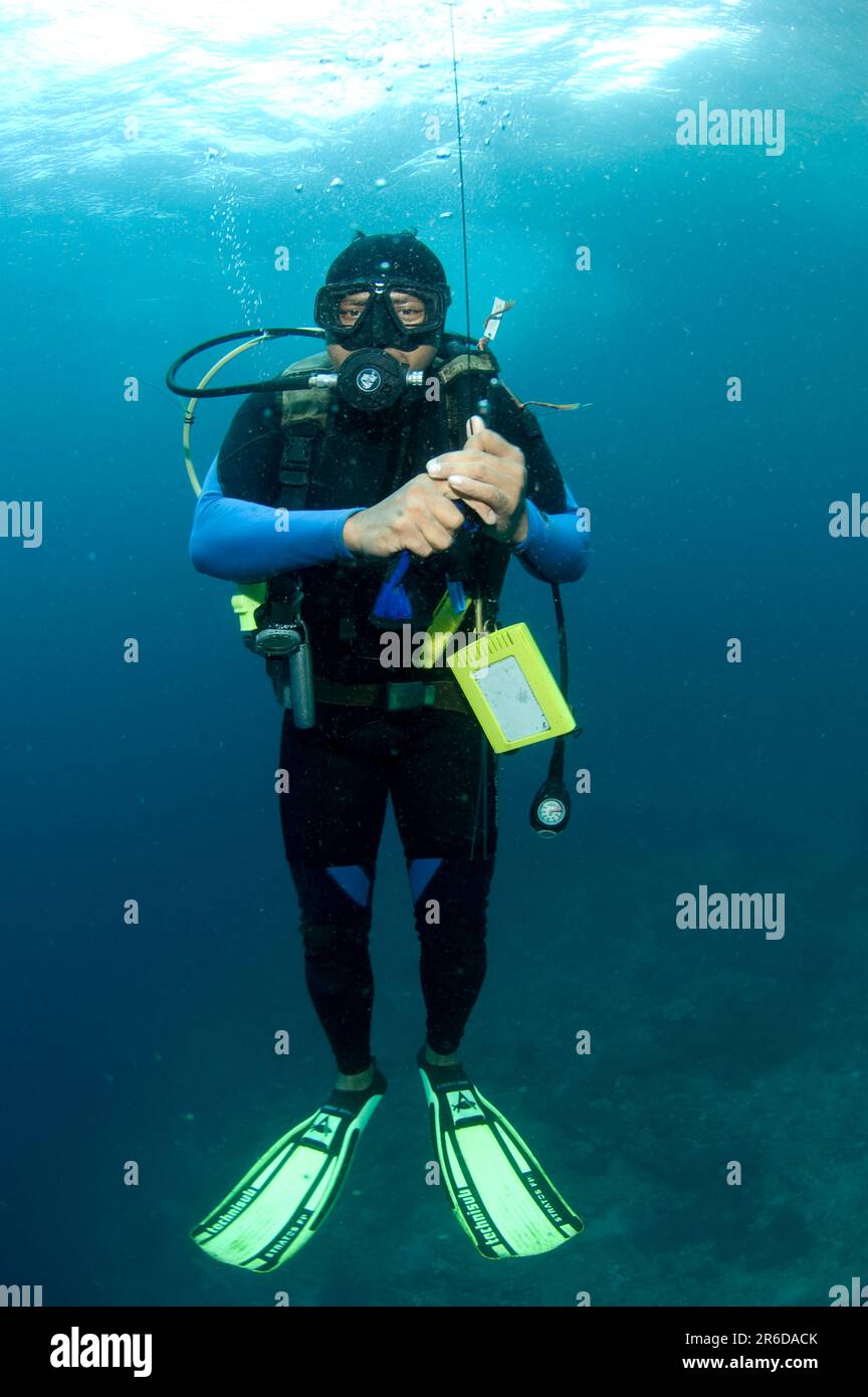 Dive guide holding string to safety buoy, Dante's Wall dive site ...