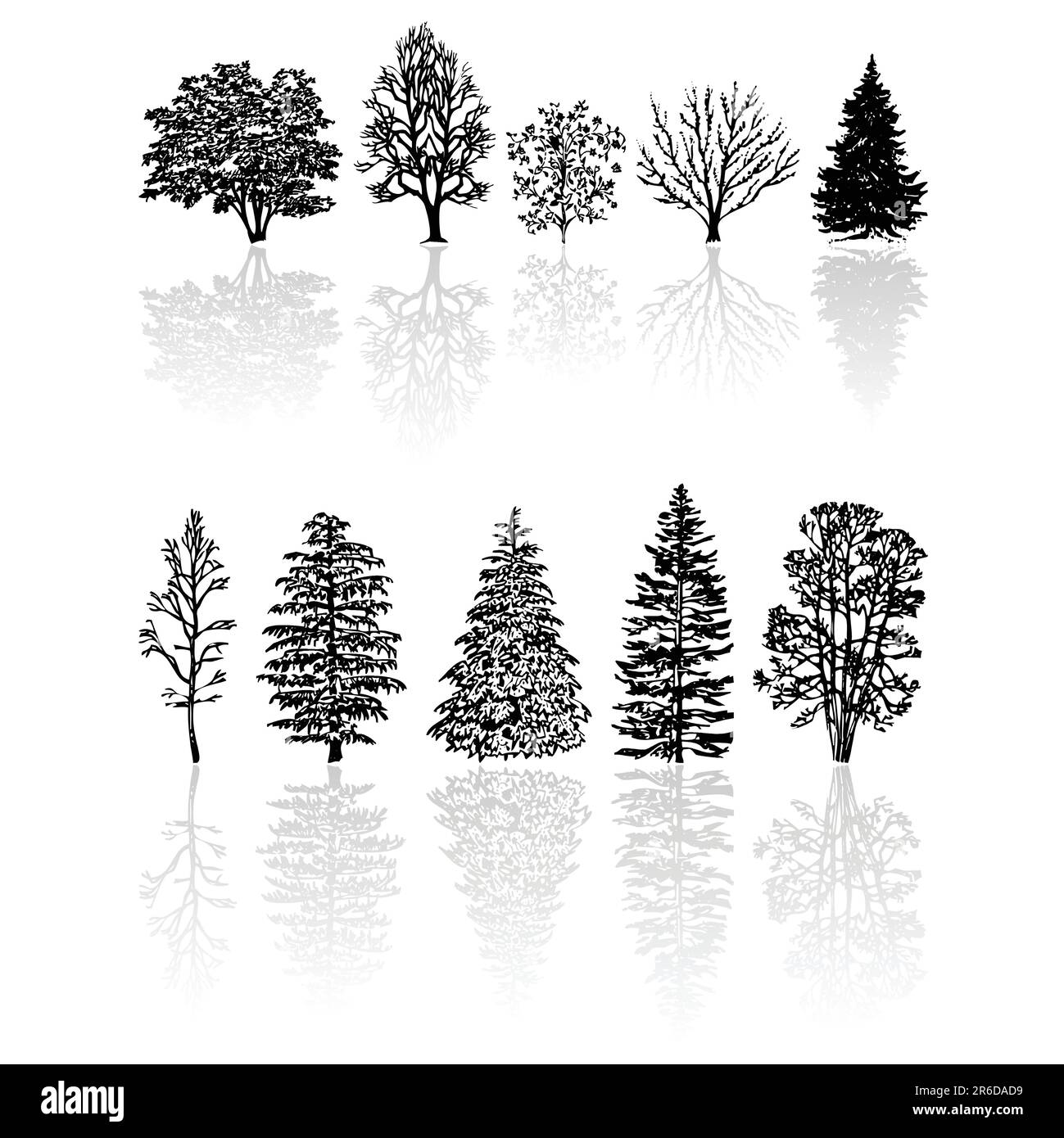 Different kind of silhouettes trees isolated over white Stock Vector ... Different kind of silhouettes trees isolated over white Stock Vector ...