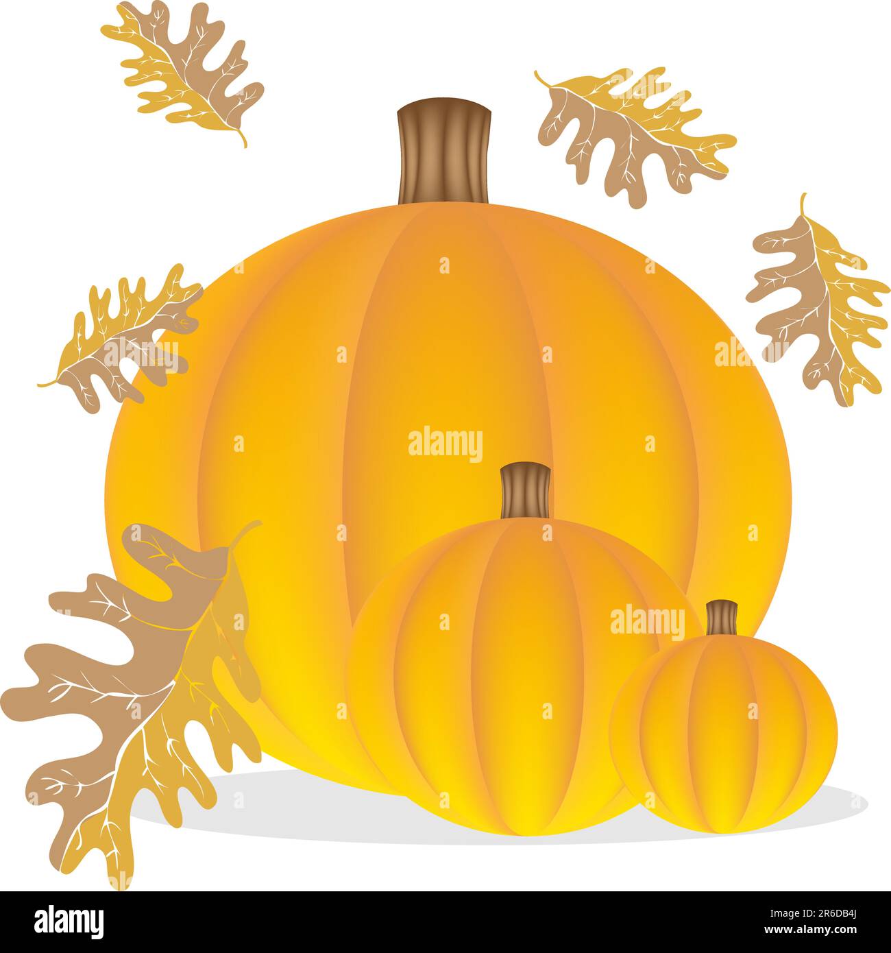 Hand drawn autumn pumpkins Stock Vector Images - Alamy