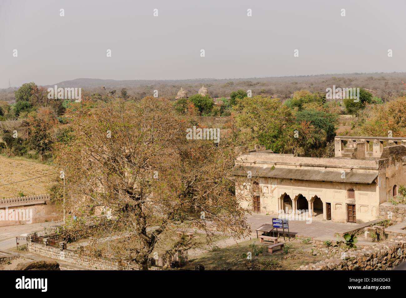 An ancient stone structure surrounded by trees and shrubs in Orchha ...
