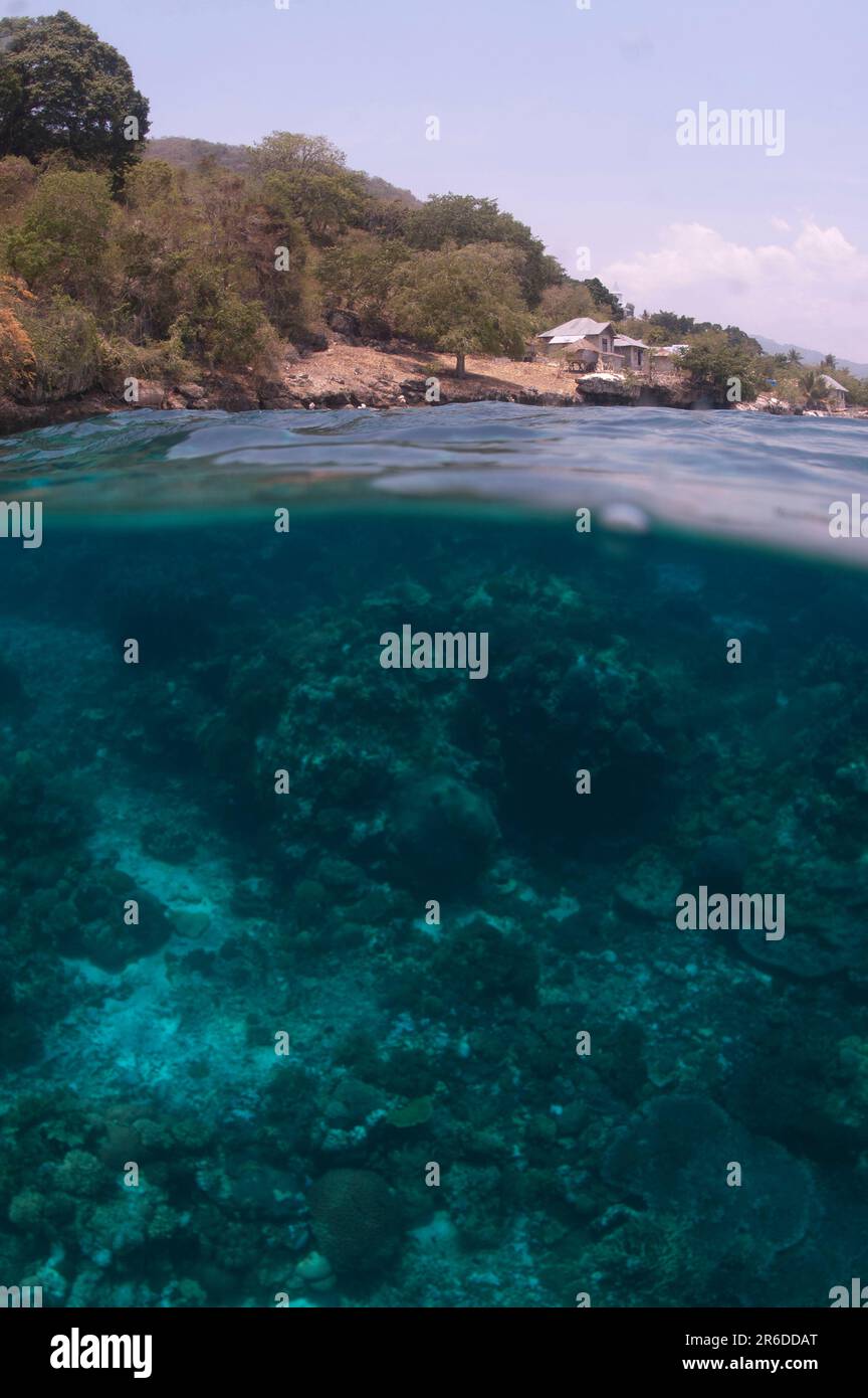 Over-under view of coral and island, Babylon dive site, Reta Island ...