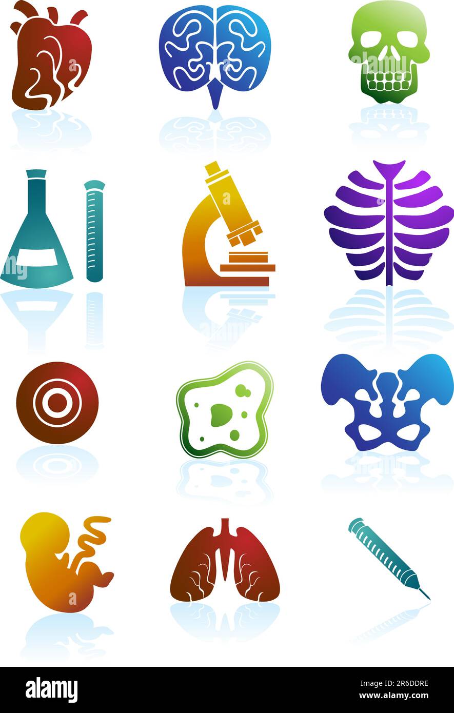 Set of 12 Biology Icons Stock Vector Image & Art - Alamy