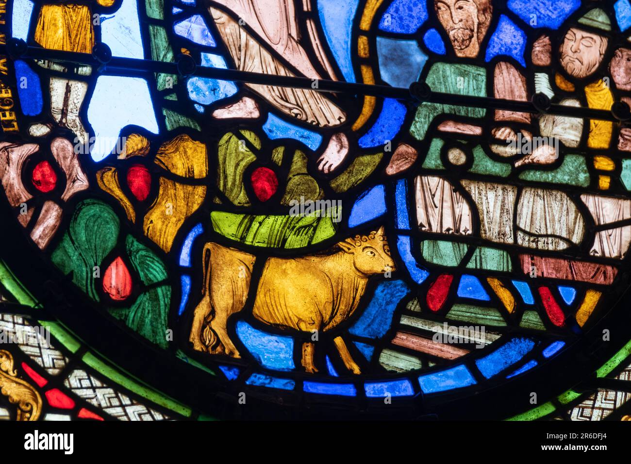Detail of medieval stained glass window depicting a cow, peasants in a ...