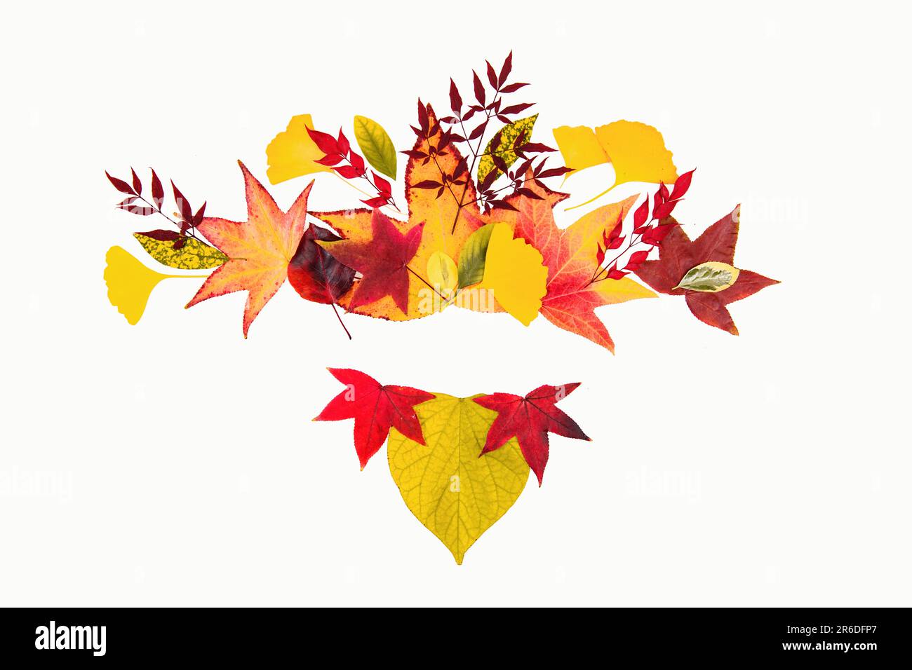 Autumn frame for design banners, leaflets, posters with space for text ...