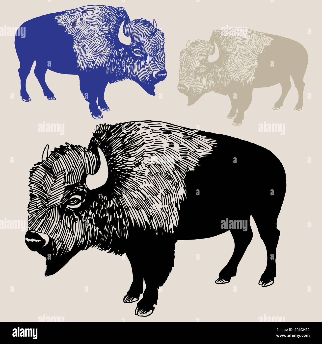 North american endangered animal Stock Vector Images - Alamy