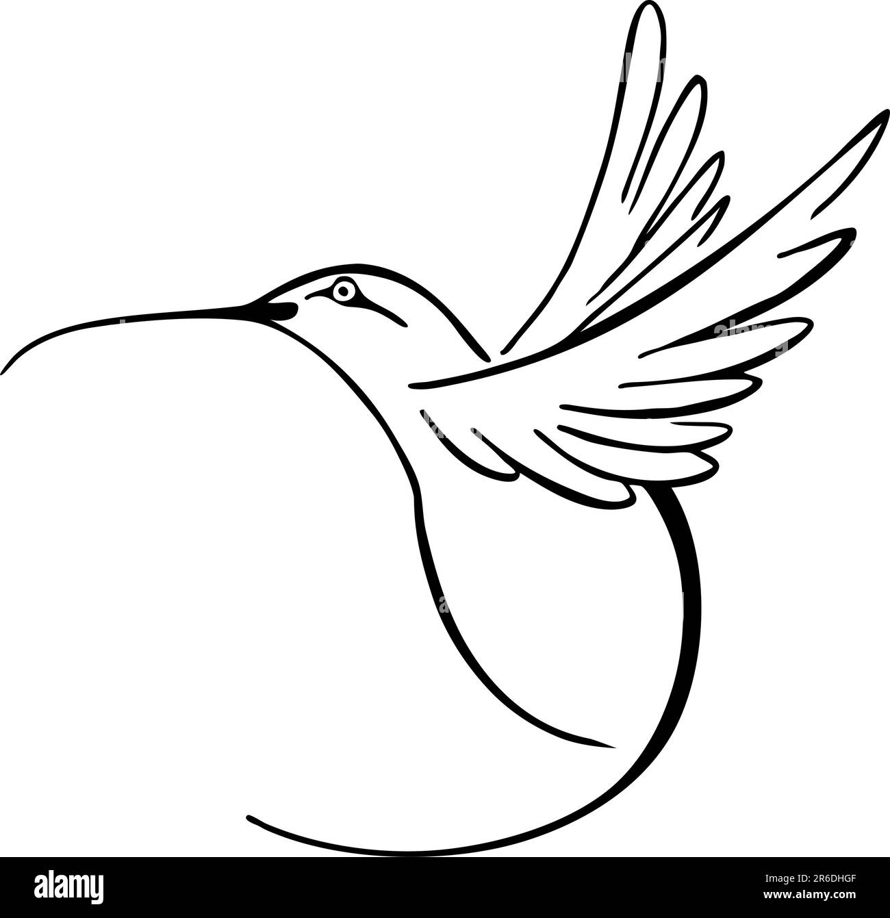 Cartoon image of a hummingbird Stock Vector Image & Art - Alamy