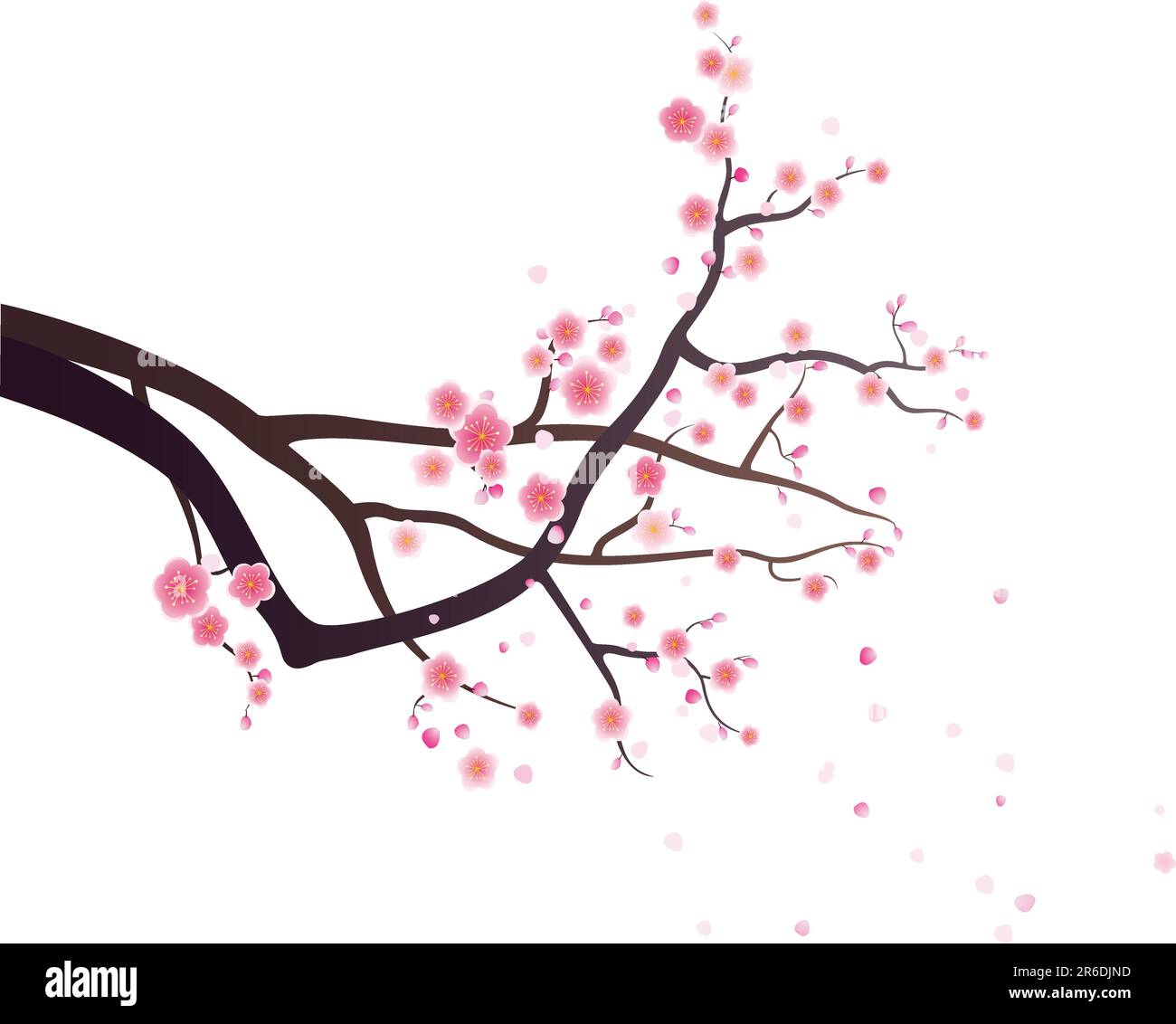 plum blossom background Stock Vector Image & Art - Alamy