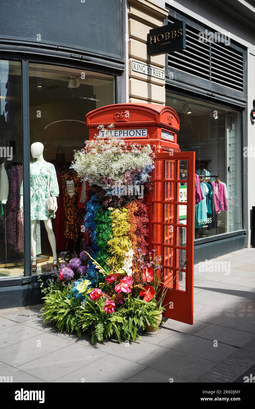 Manchester frog flowers hi-res stock photography and images - Alamy