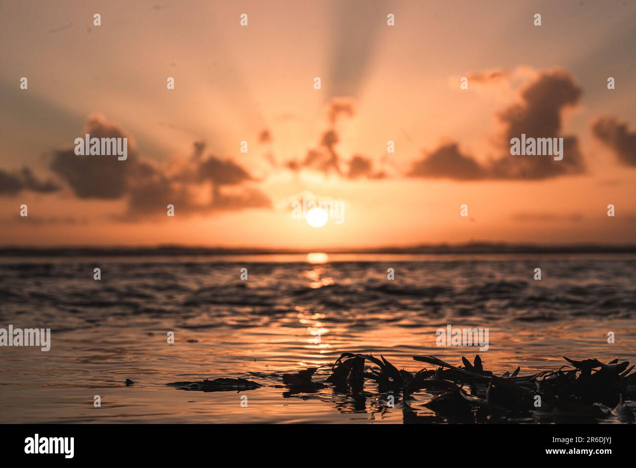 beautiful golden sunset at the beach in the lake district Stock Photo ...