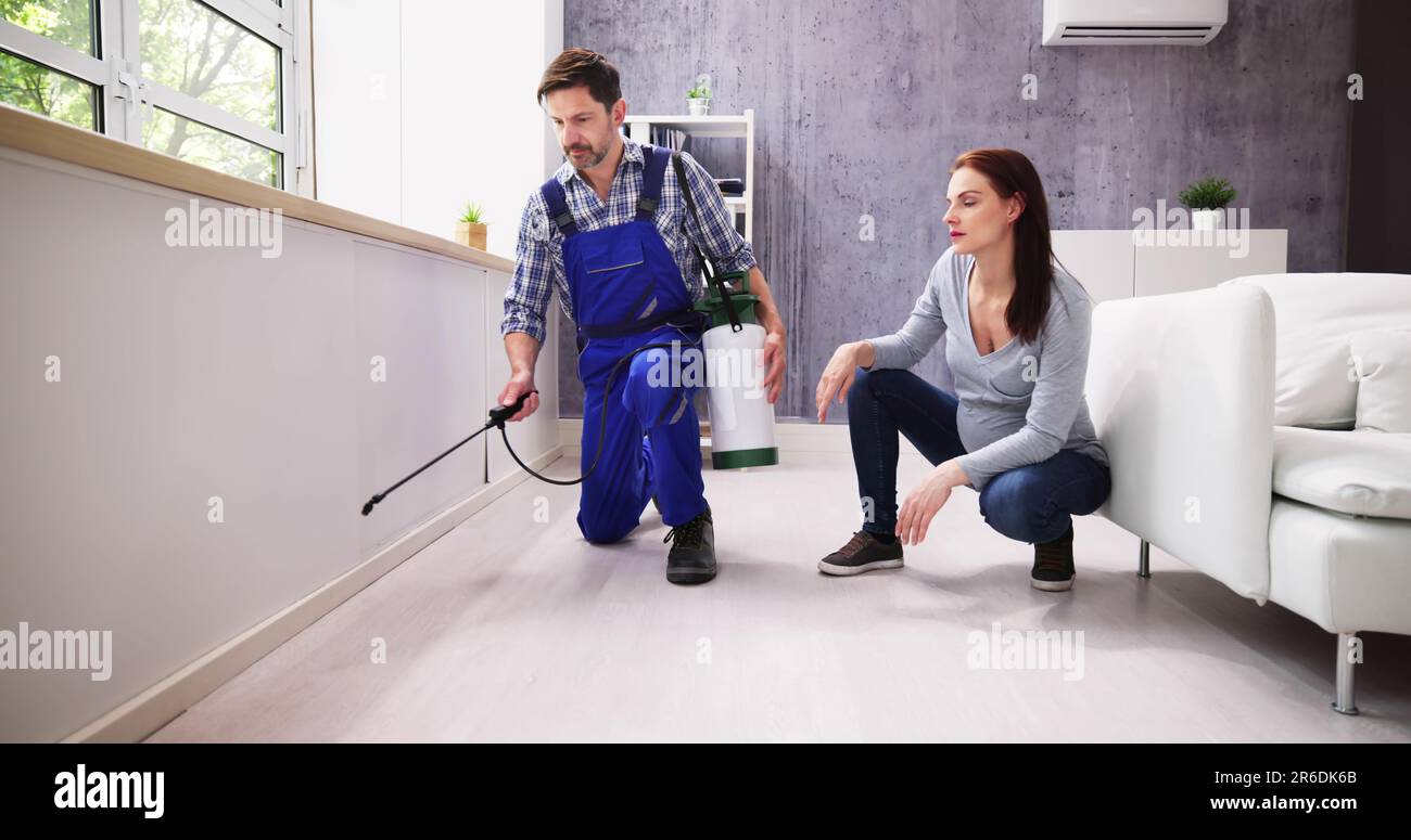 Woman Looking At Exterminator Worker Spraying Insecticide Chemical For ...