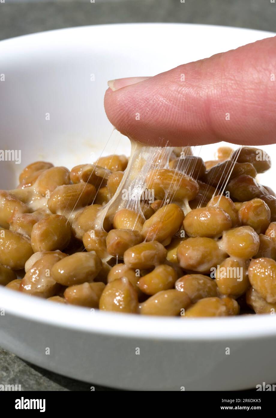 Bacillus subtilis var natto hi-res stock photography and images - Alamy