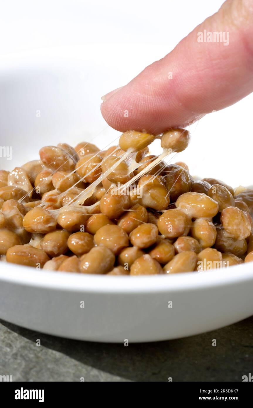 Bacillus subtilis var natto hi-res stock photography and images - Alamy